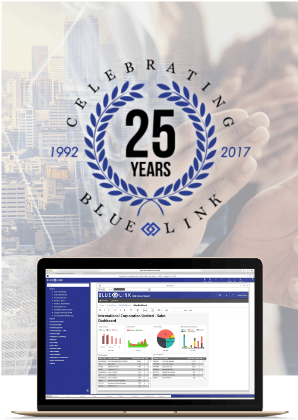 About Blue Link Software | Inventory & Accounting ERP